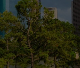 Texas Outhouse | The Portable Toilet Experts